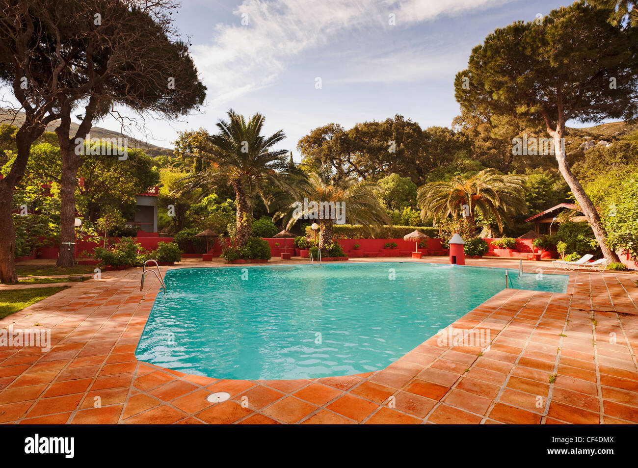 An Outdoor Swimming Pool Surrounded By Trees; El Cuarton Tarifa Cadiz ...