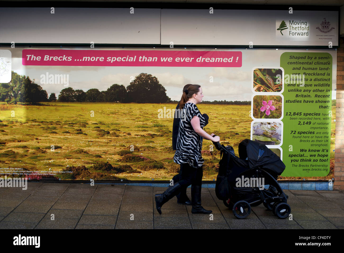 Thetford Town Centre Stock Photo - Alamy