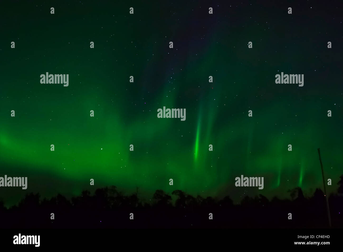 Northern lights dancing in the night sky Stock Photo - Alamy