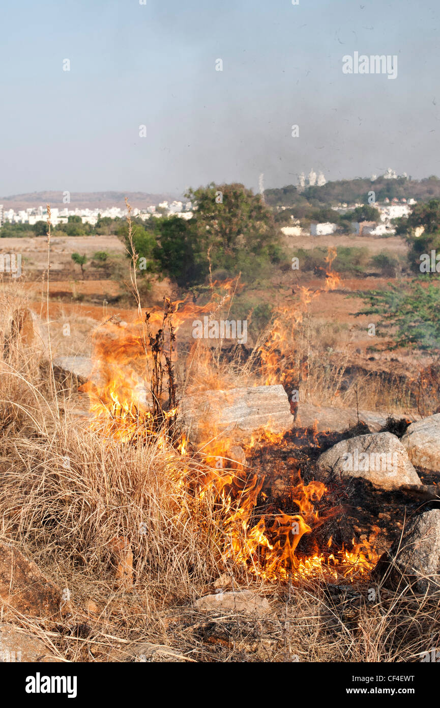 Bush fire flames in the indian countryside Stock Photo - Alamy
