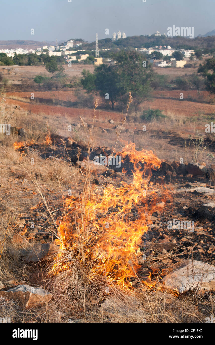 Bush fire flames in the indian countryside Stock Photo - Alamy