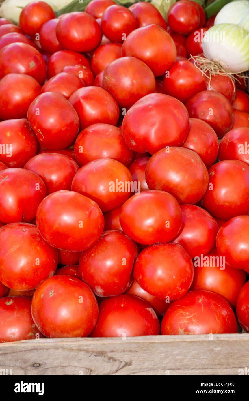 Freshly harvested red ripe tomatoes on display at the farmer's market ...