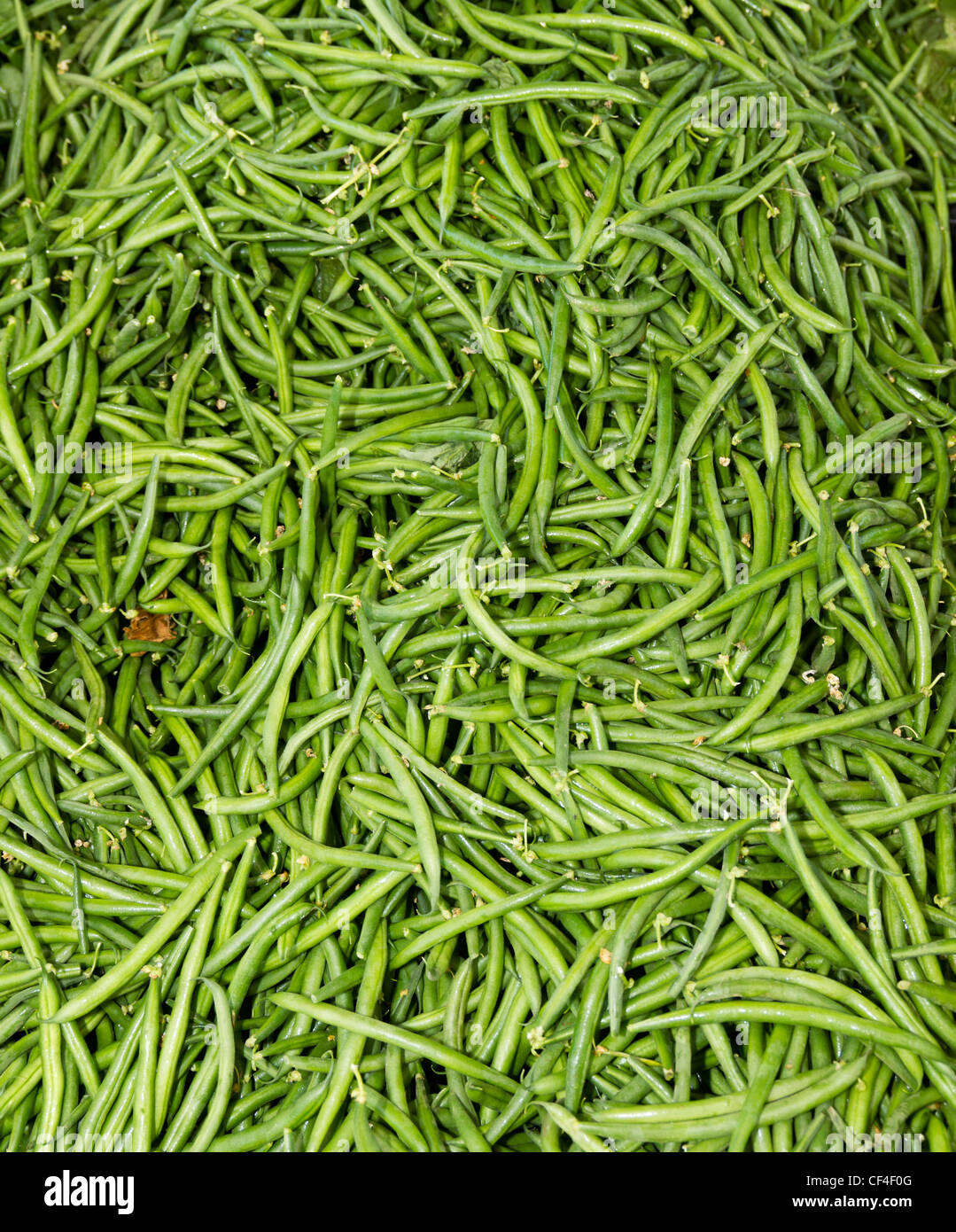 Freshly harvested green or string beans on display at the farmer's ...