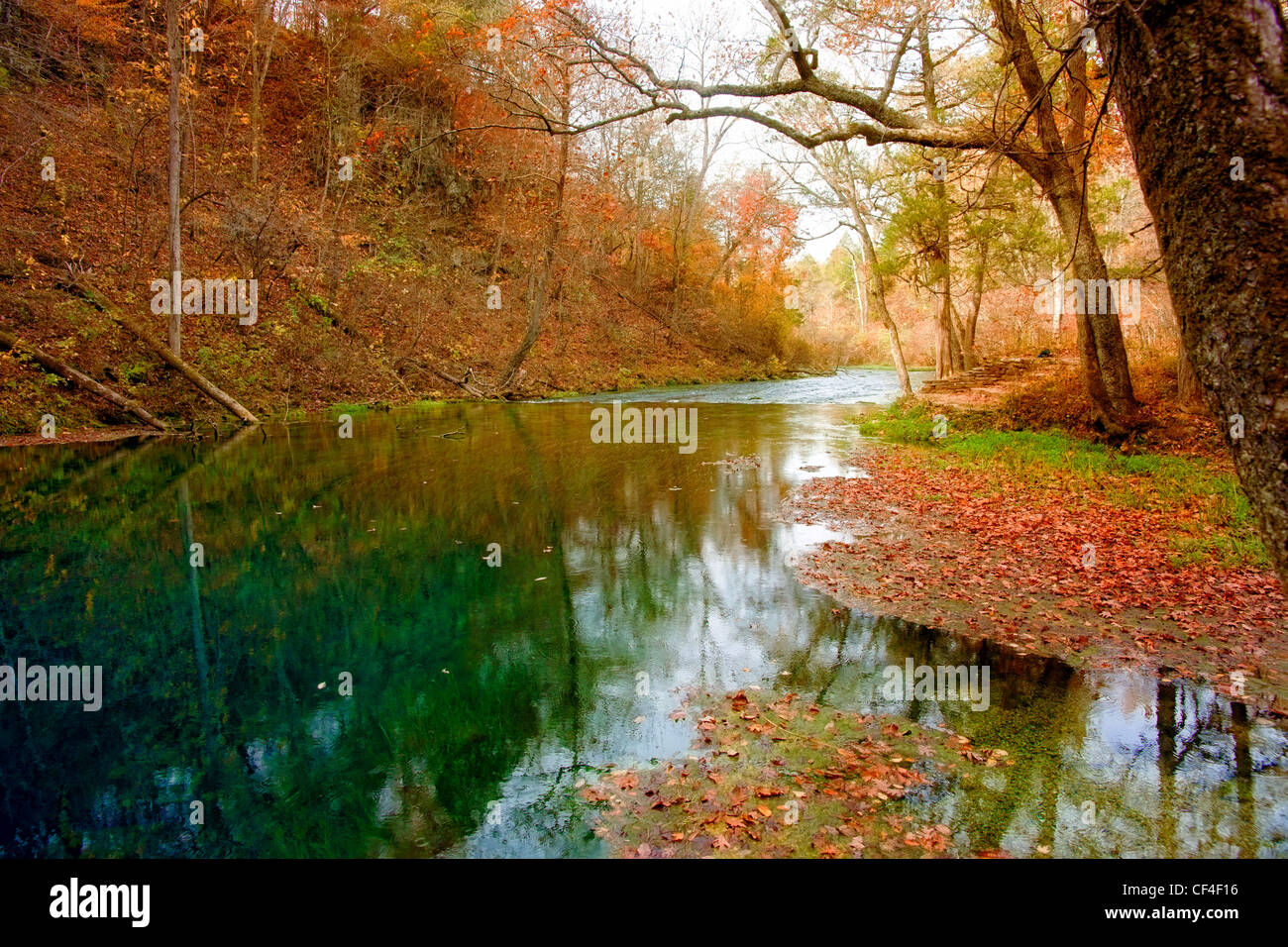 autumn or fall spring or stream in missouri Stock Photo - Alamy