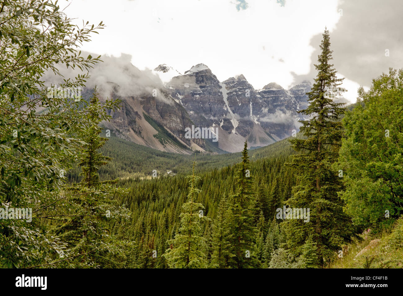The majestic Canadian Rocky Mountains covered with fog Stock Photo - Alamy
