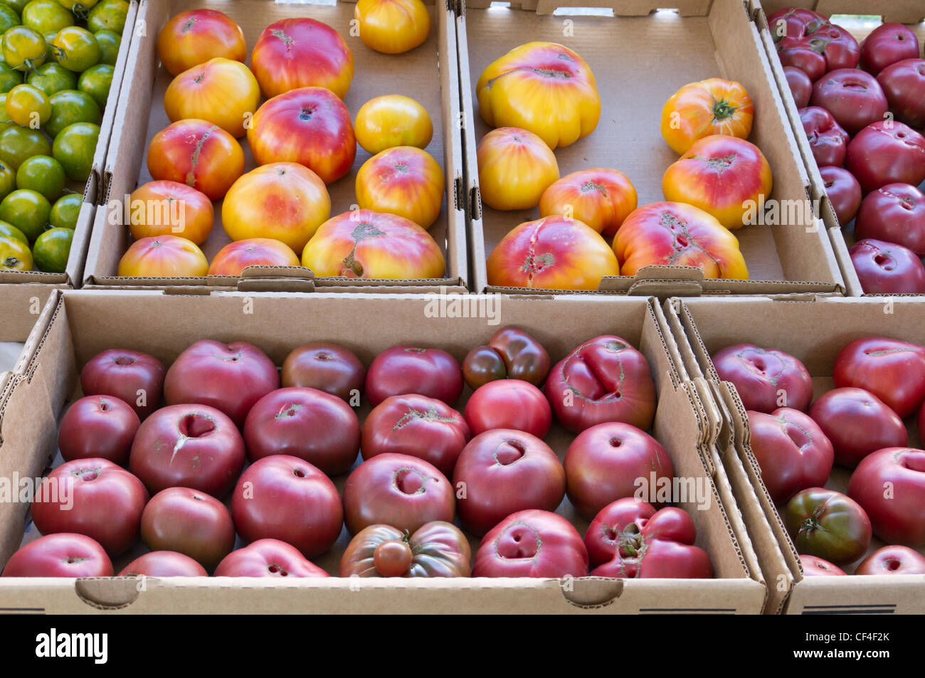 Freshly picked heirloom or antique tomatoes on display at the farmers ...