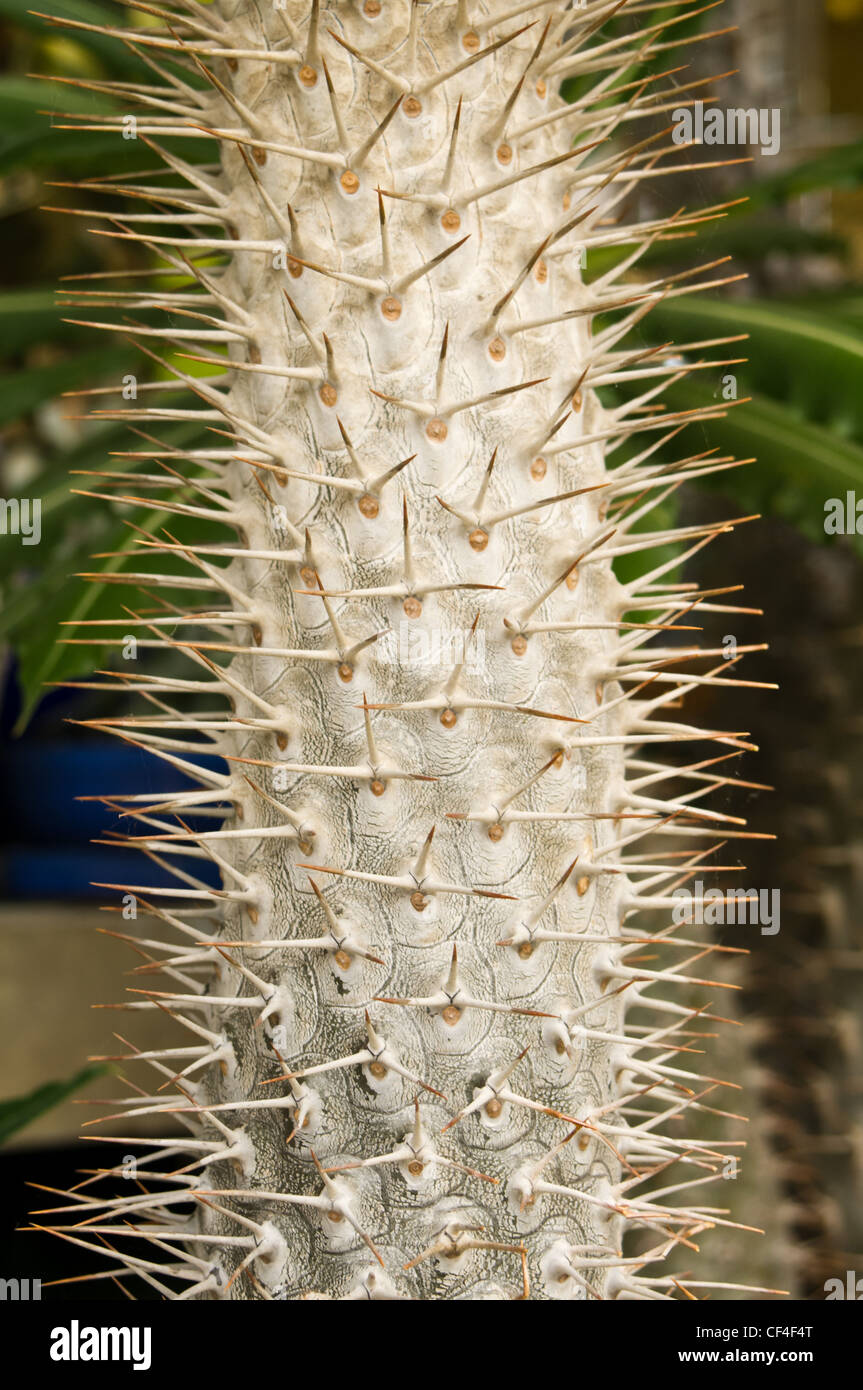 Nature sciences hi-res stock photography and images - Alamy