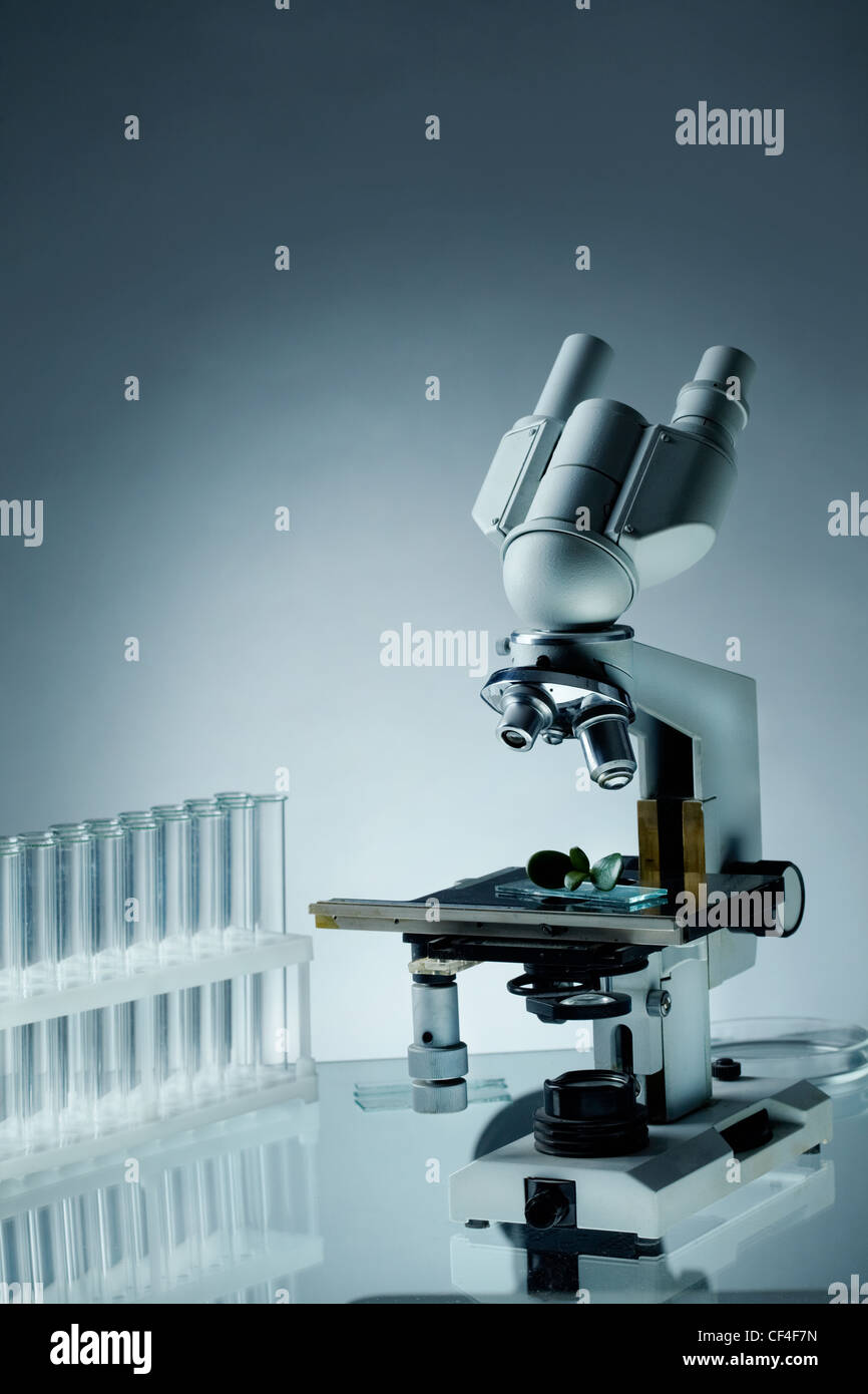 Vertical shot of lab equipment namely microscope and glass tubes Stock ...