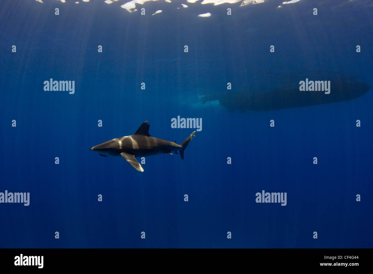 Elongated boat hi-res stock photography and images - Alamy