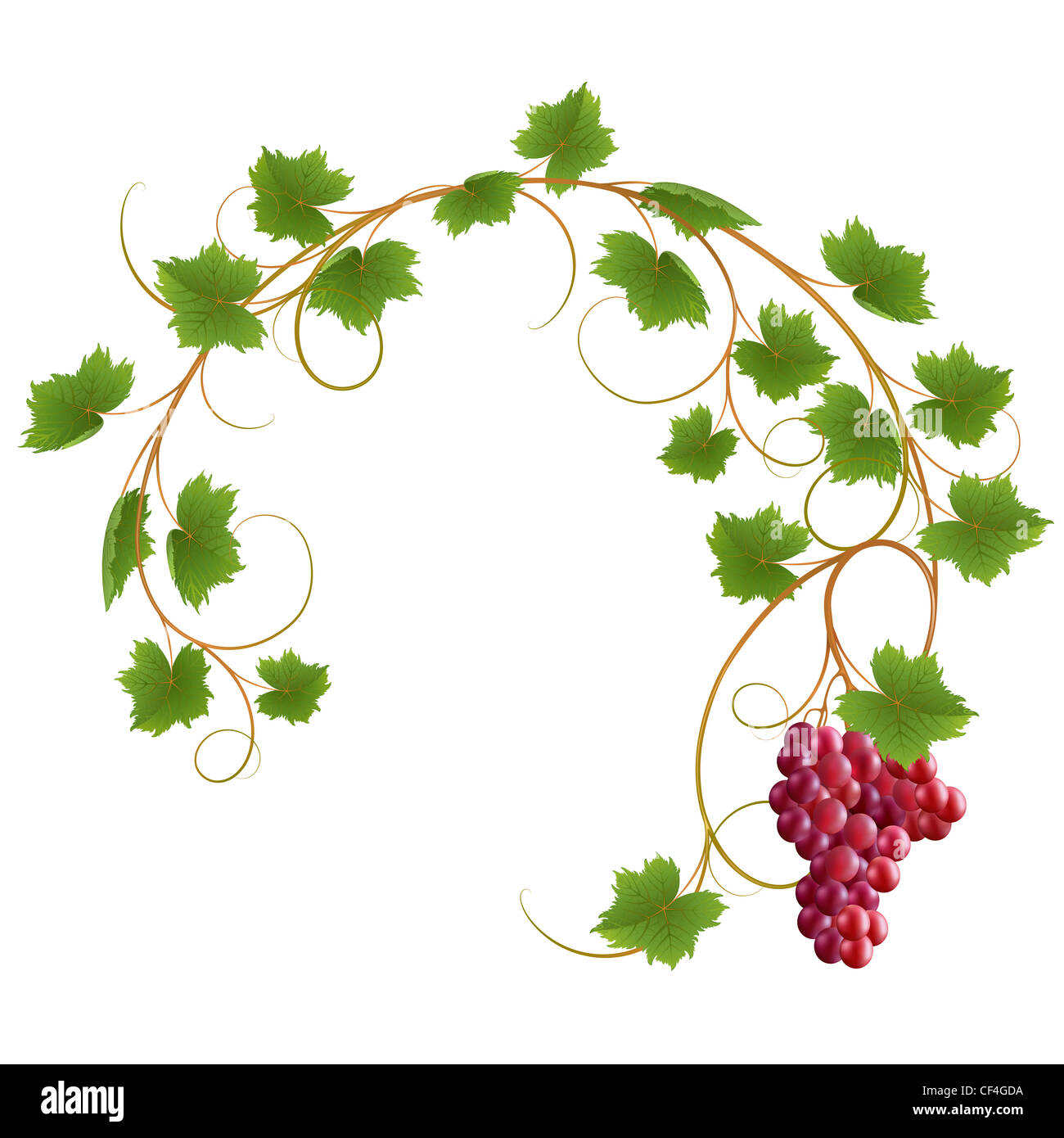 Vine scroll hi-res stock photography and images - Alamy