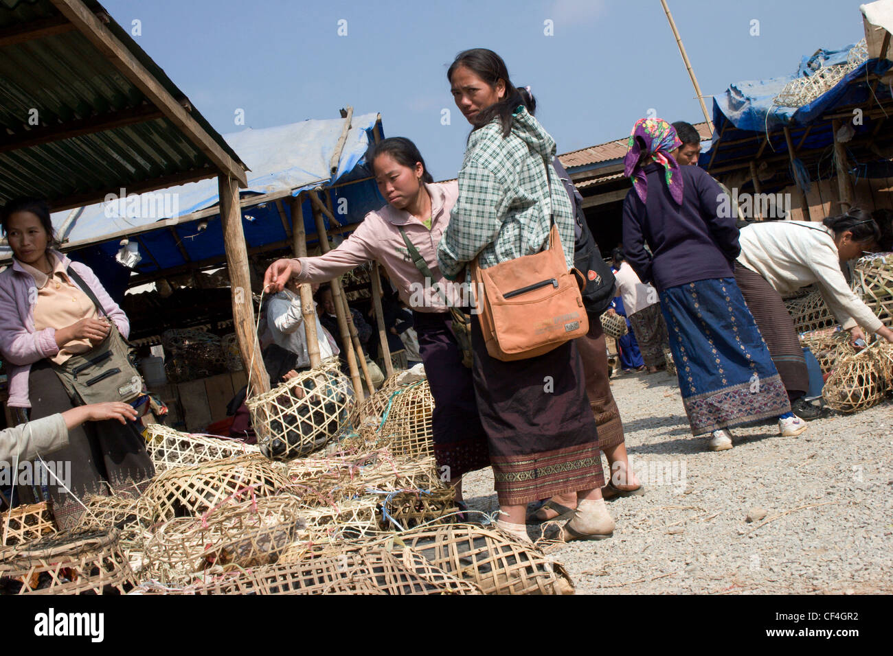 Ethnic Hmong women are shopping for live chickens and pigs at the main ...