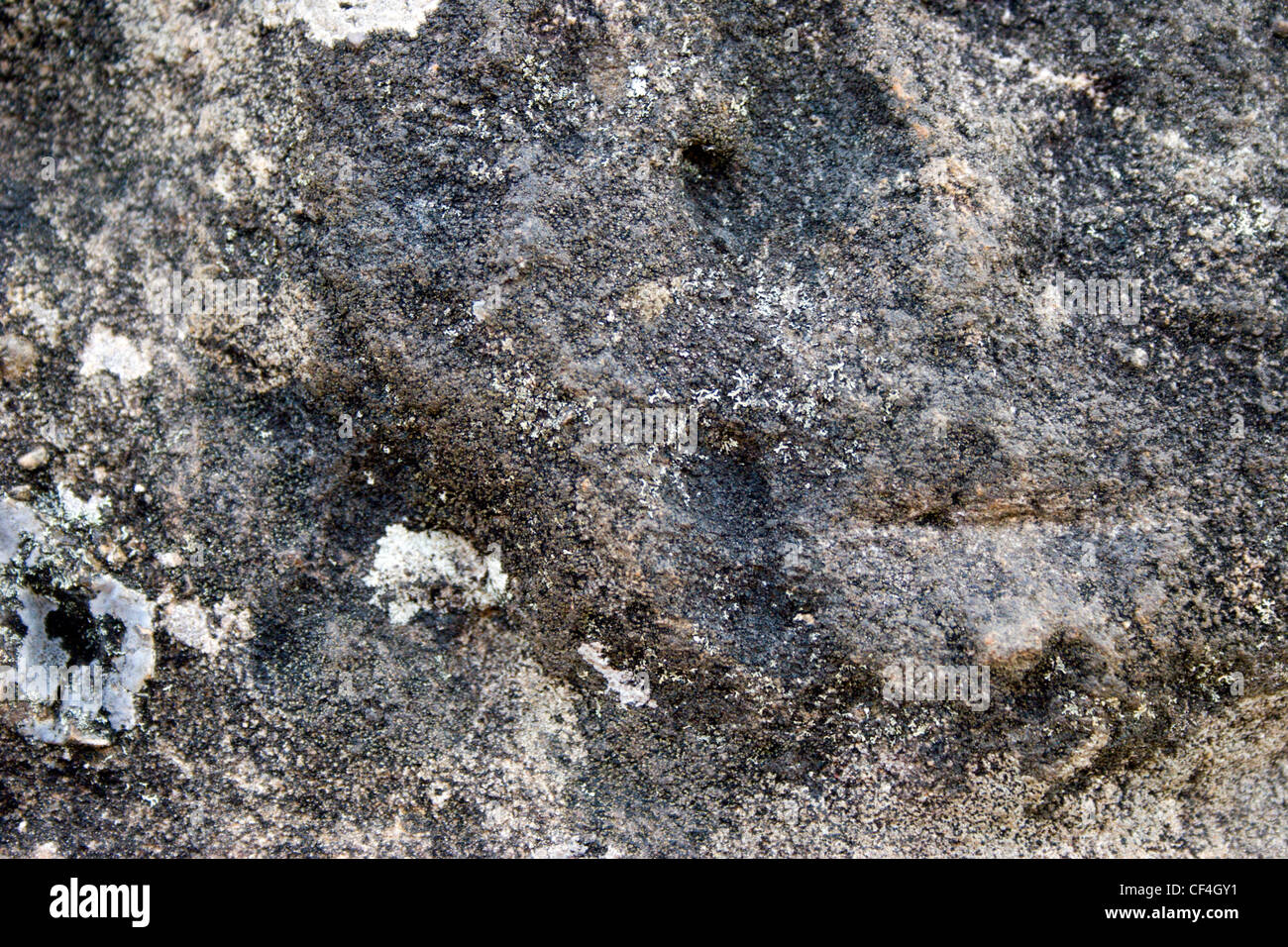 Stone jars in a field are on display at Plain of Jars Archeological ...