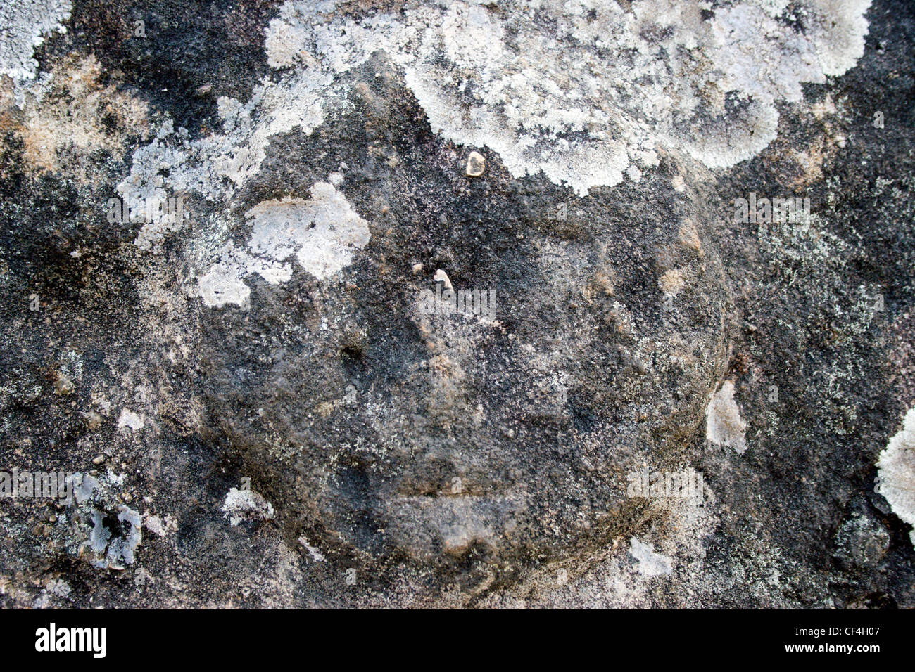 Stone jars in a field are on display at Plain of Jars Archeological ...