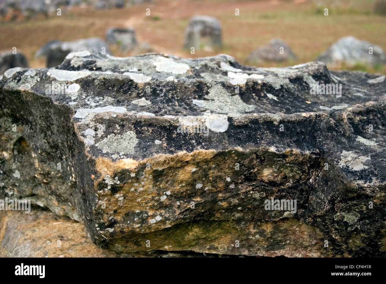 Stone jars in a field are on display at Plain of Jars Archeological ...