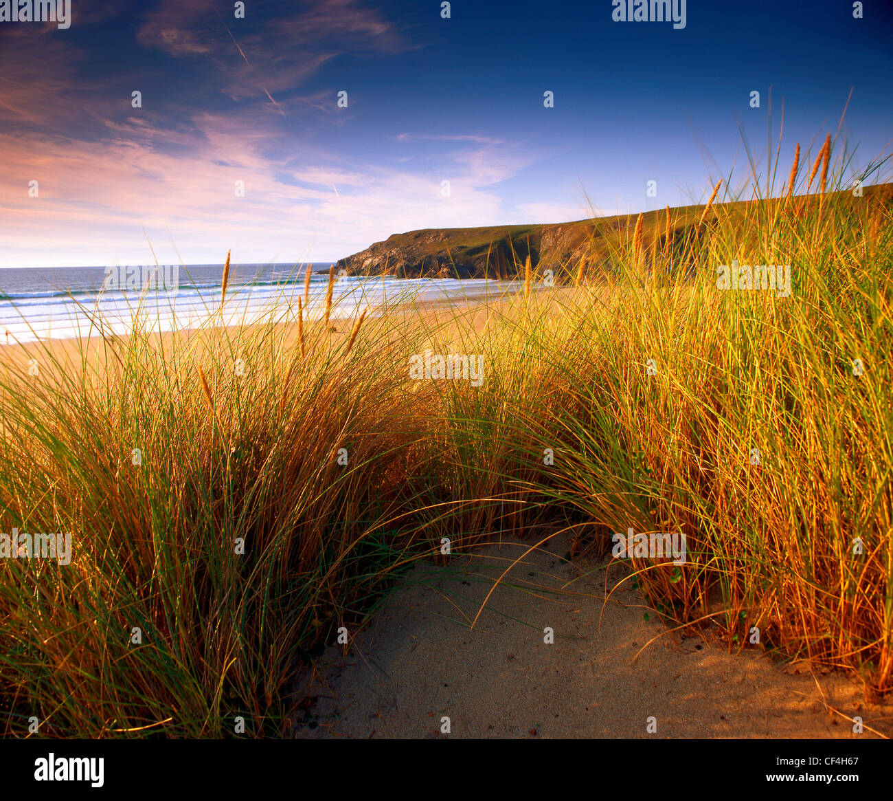Atlantic sand dunes and sea grass hi-res stock photography and images ...
