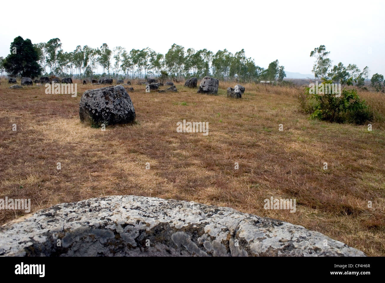 Stone jars in a field are on display at Plain of Jars Archeological ...