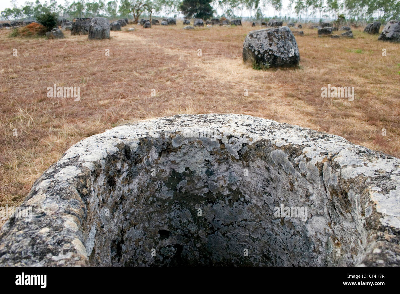 Stone jars in a field are on display at Plain of Jars Archeological ...