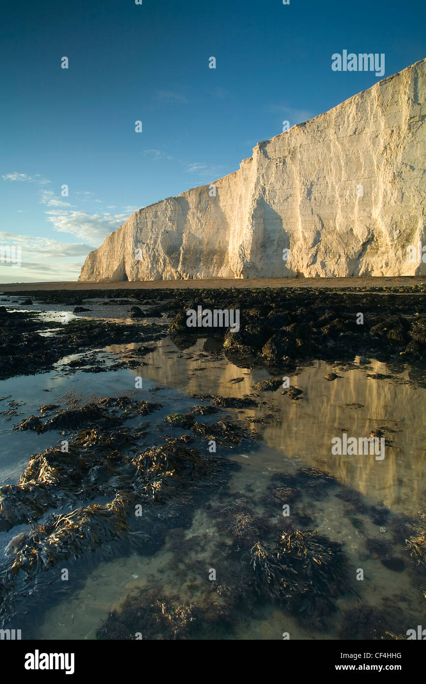 Brass Point situated at the western end of the Seven Sisters chalk ...