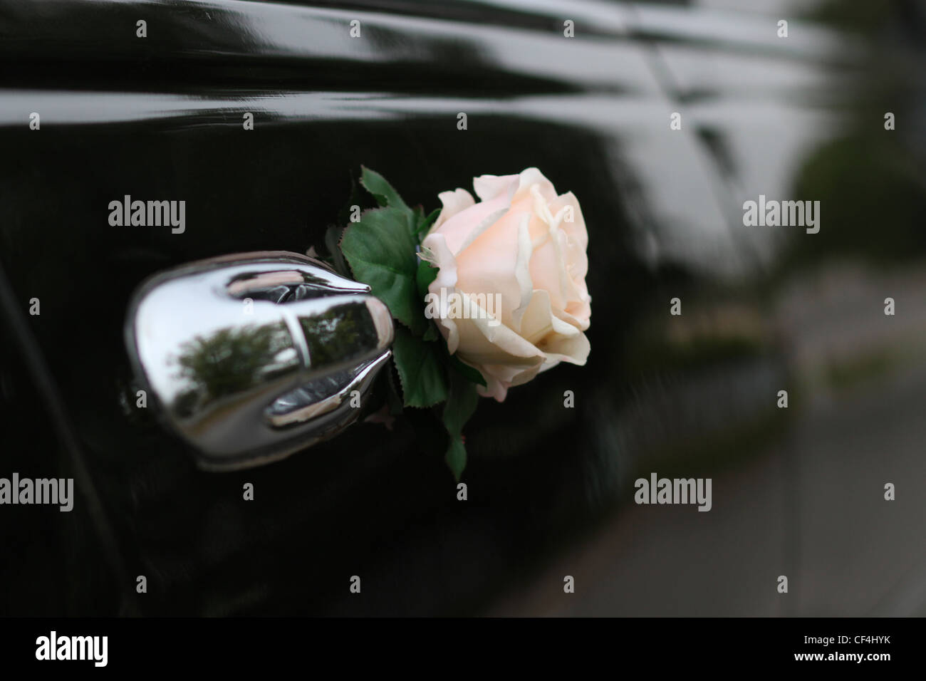 Decorative flower on the door of black wedding limo Stock Photo - Alamy