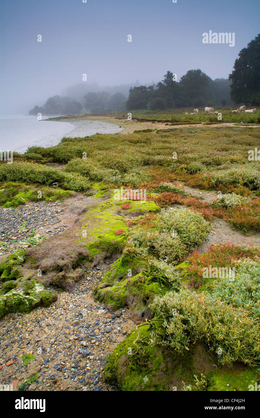 The River Orwell flows through this Area of Outstanding Natural Beauty ...