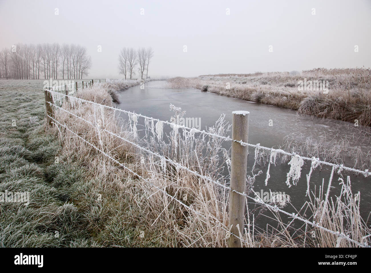 A frozen wire fence beside a river on a frosty morning in Norfolk Stock ...