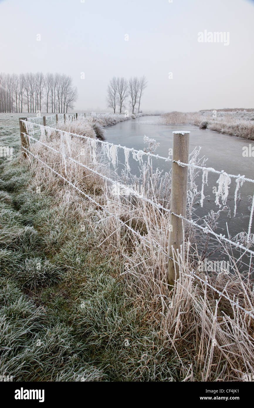 A frozen wire fence beside a river on a frosty morning in Norfolk Stock ...