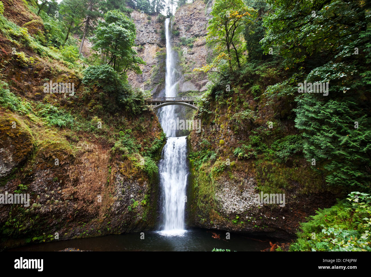 Multnomah falls in oregon hi-res stock photography and images - Alamy