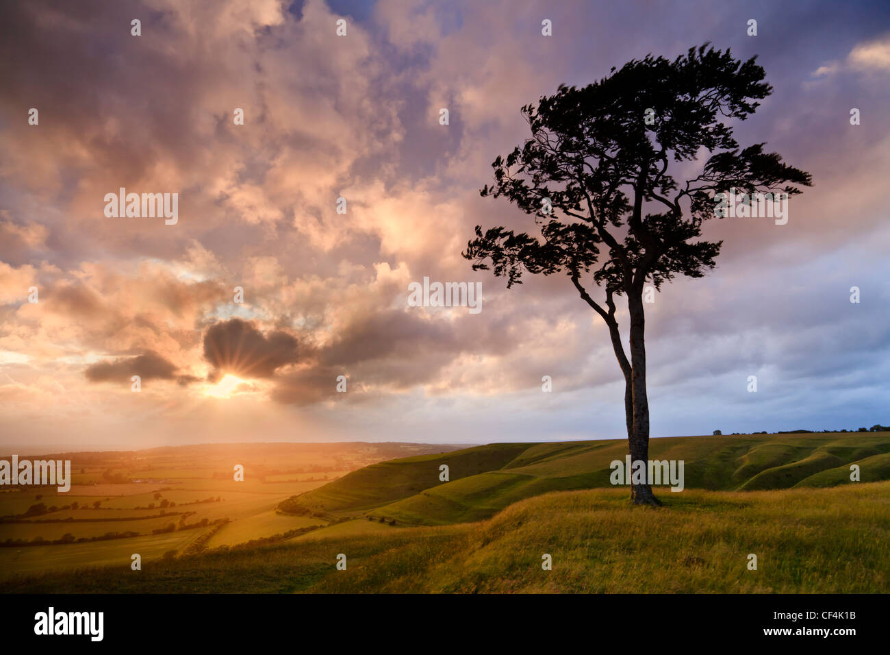 Devizes High Resolution Stock Photography and Images - Alamy