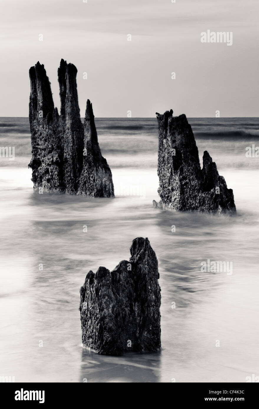 Three remaining wooden posts from an old jetty, jutting out of the sea ...