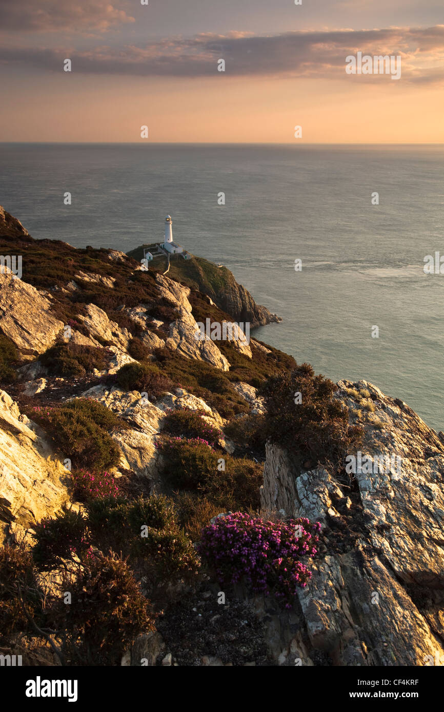 The last evening light on South Stack Lighthouse, a spectacular ...