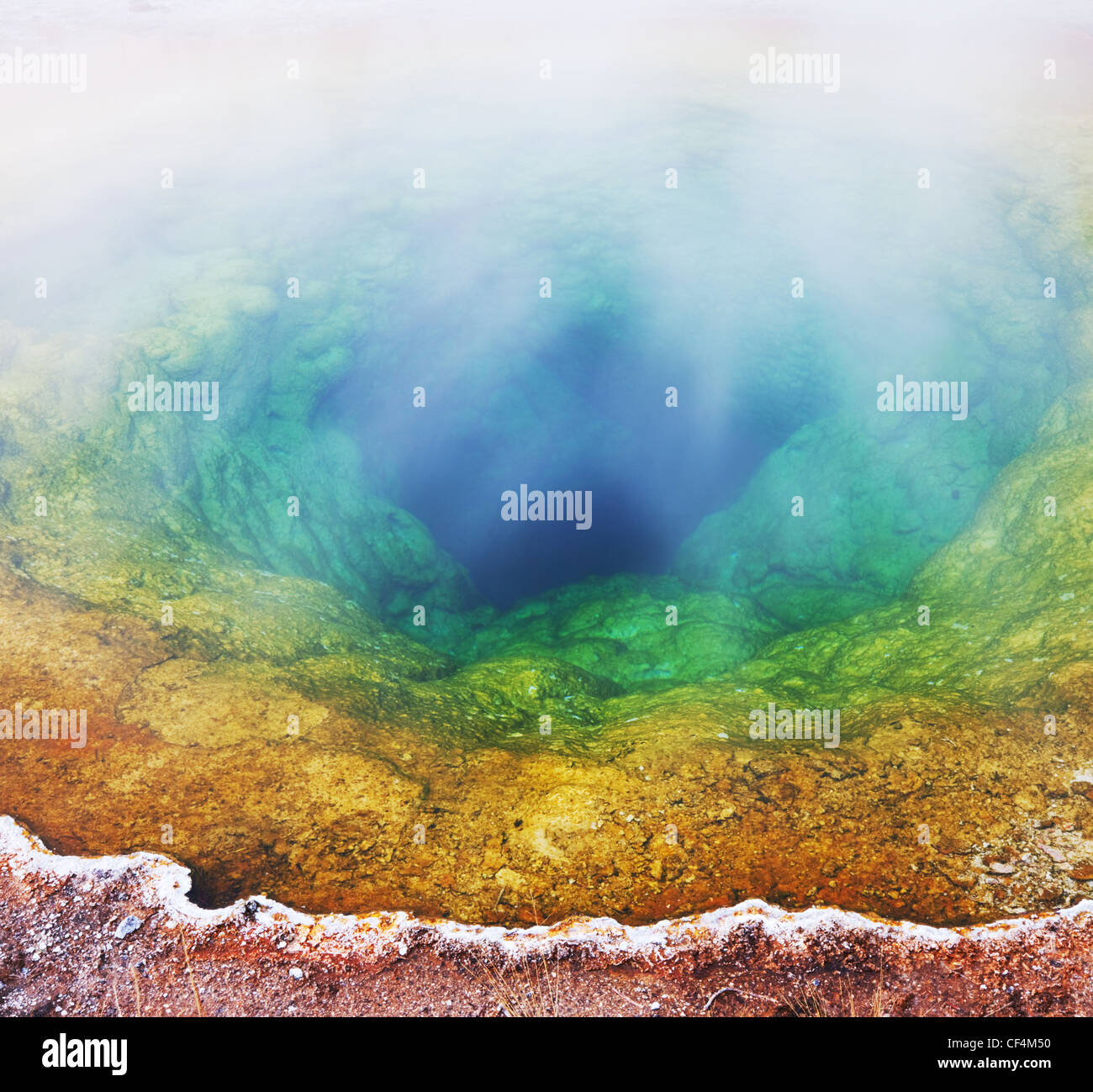 Morning Glory Pool in Yellowstone National Park,USA Stock Photo - Alamy