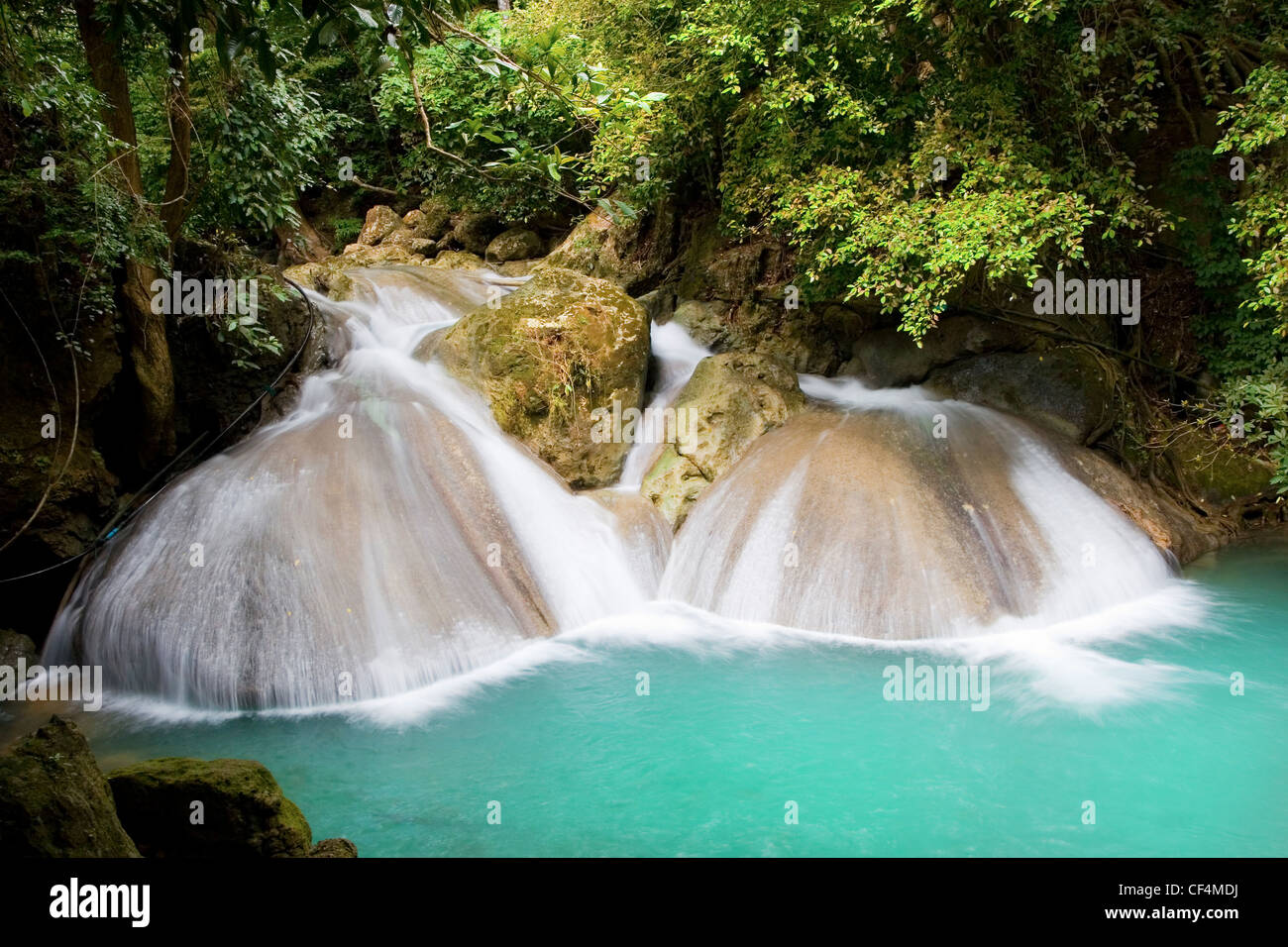 Beautiful scenery in wilderness of the tropical forest in Thailand ...