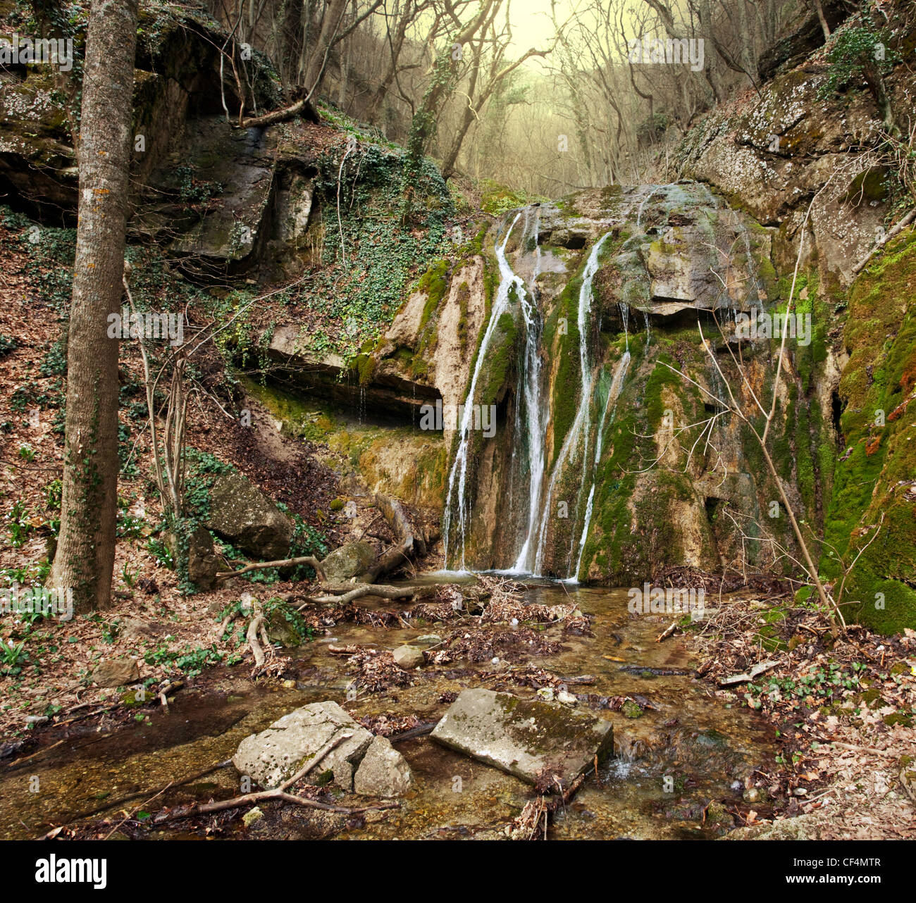 Small waterfall in Crimean forest Stock Photo - Alamy