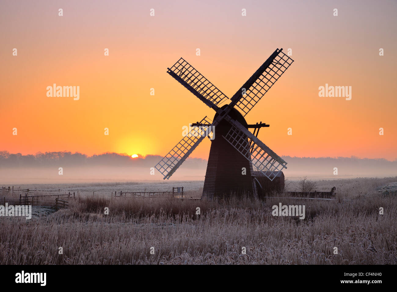 Richard winter hi-res stock photography and images - Alamy
