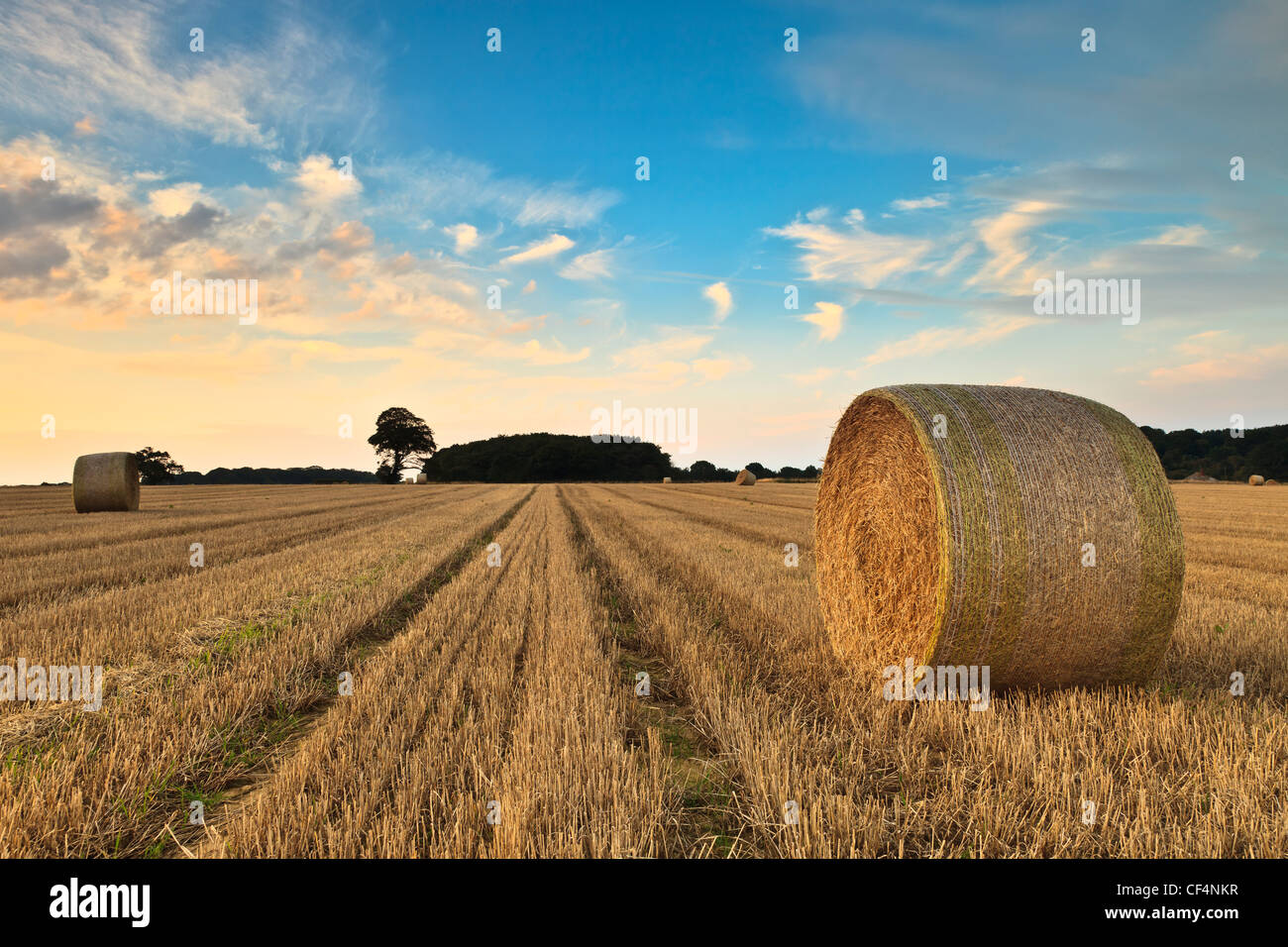 Agriculture farming hay bales field summer harvest norfolk landscape hi ...