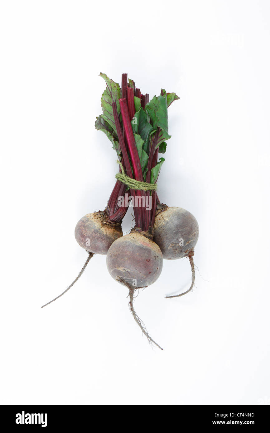 A tied bunch of three whole beetroots with stems and leaves on a white ...