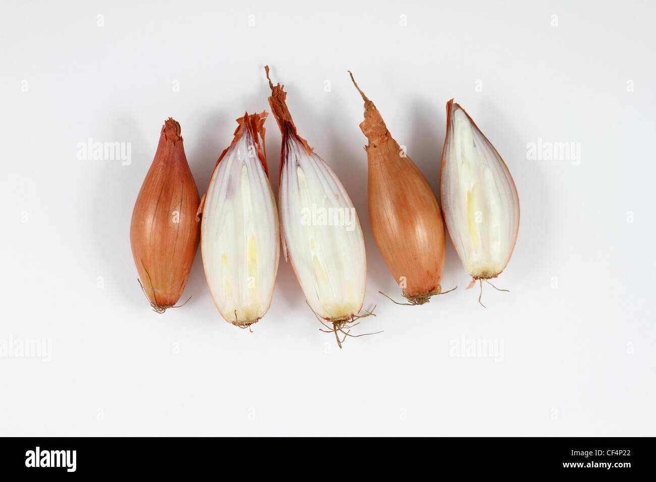 Whole and halved Echalion Shallots on a white background Stock Photo ...