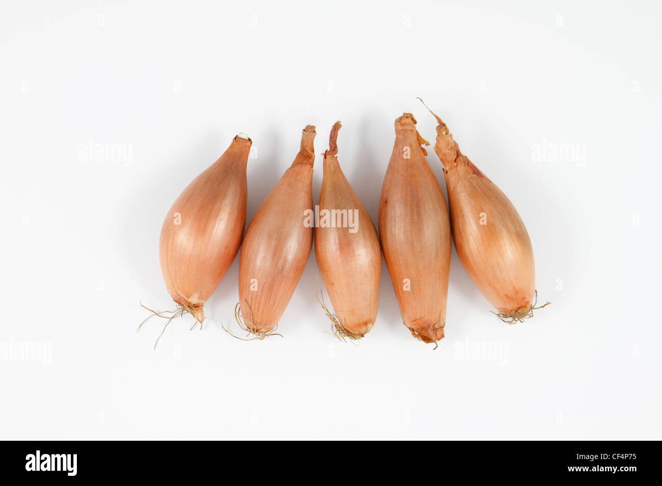 Whole Echalion Shallots on a white background Stock Photo - Alamy
