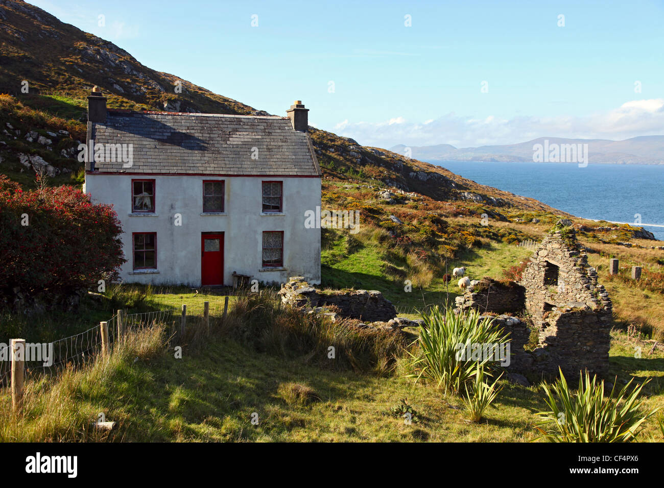 Abandoned traditional 19th century Irish farmhouse, once home of artist ...