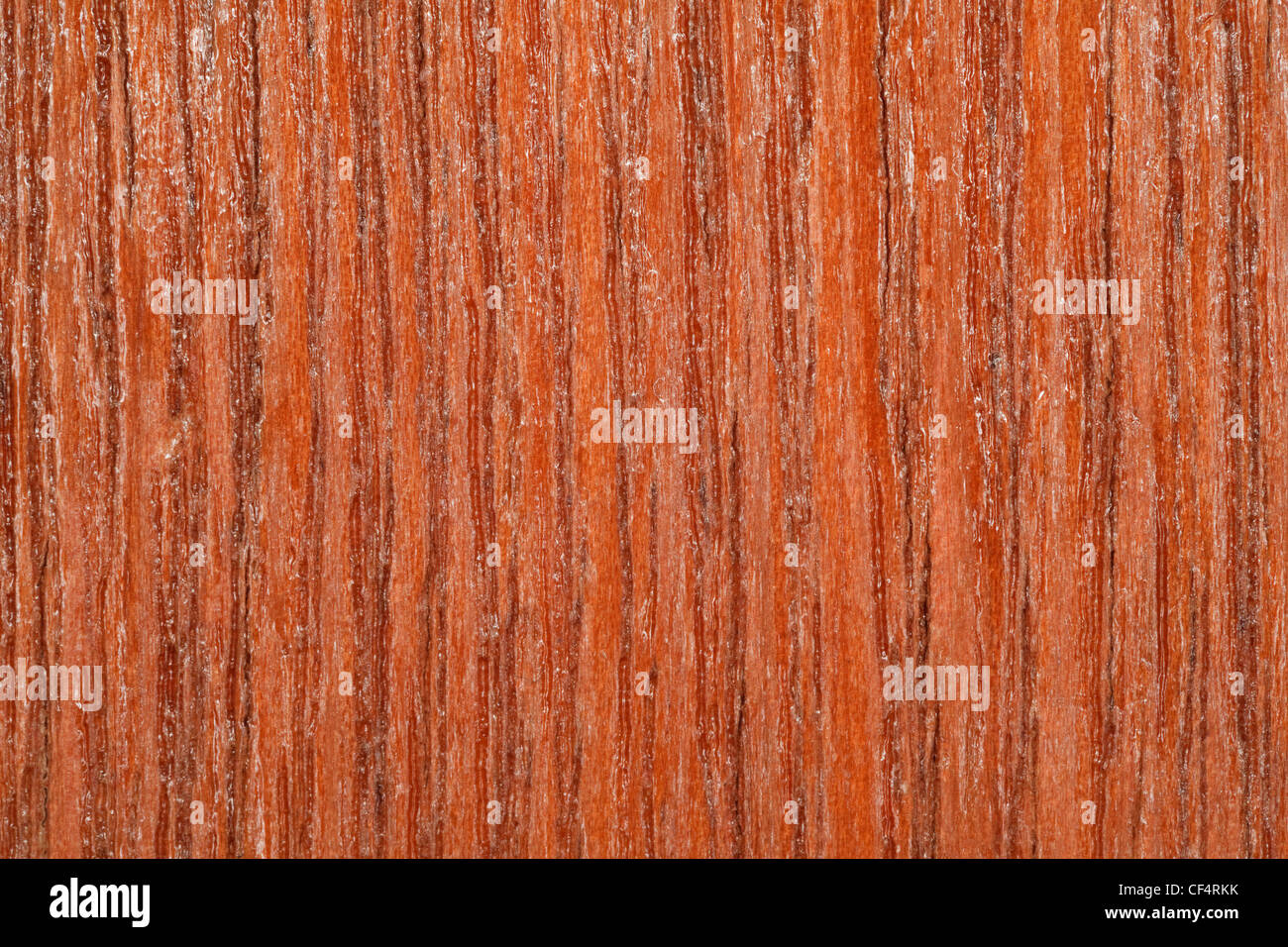 piece of structural wooden board covered with varnish, a brownish ...