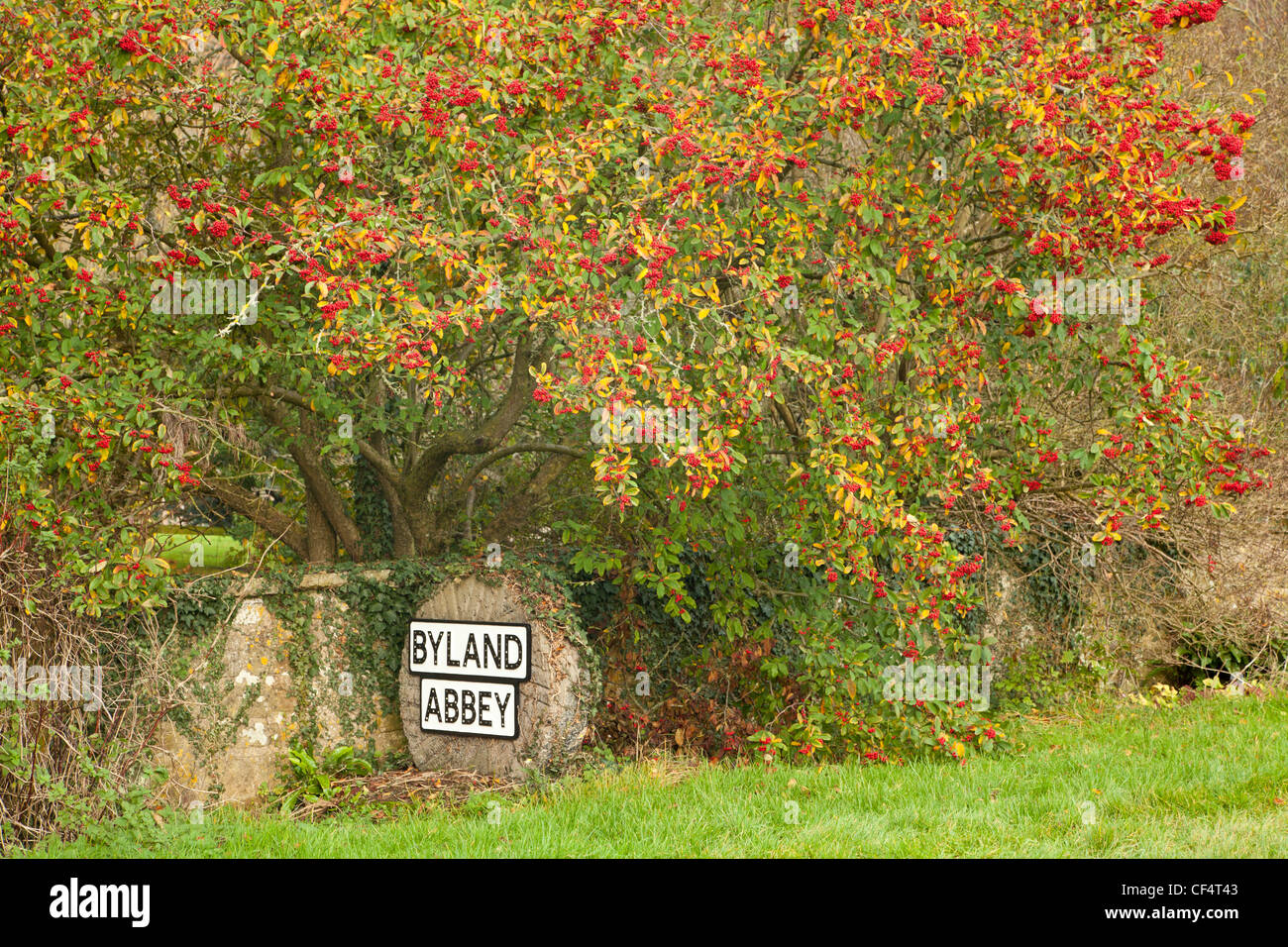 Byland Abbey sign North Yorkshire Stock Photo - Alamy