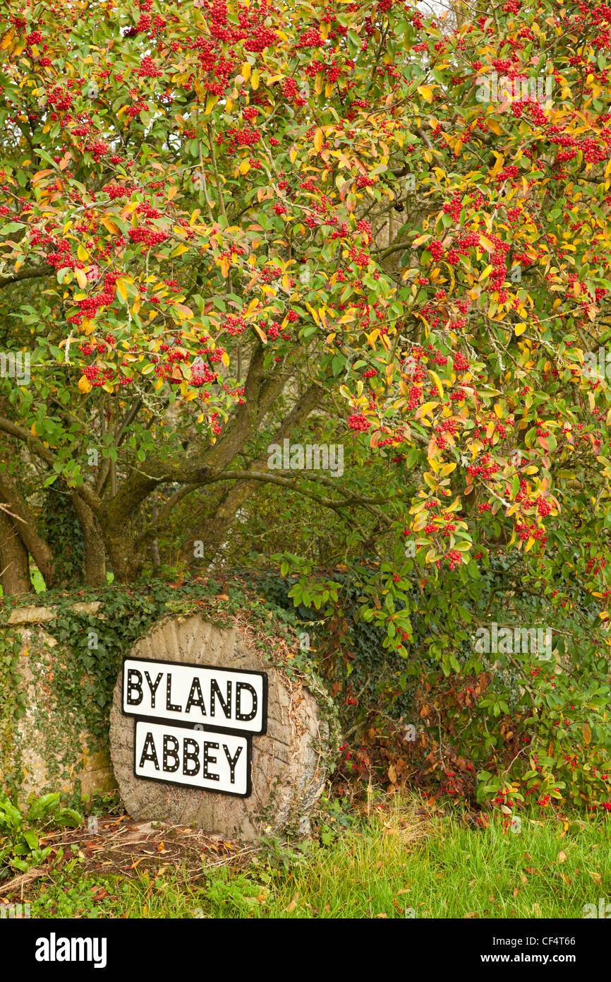 Byland Abbey sign North Yorkshire Stock Photo - Alamy