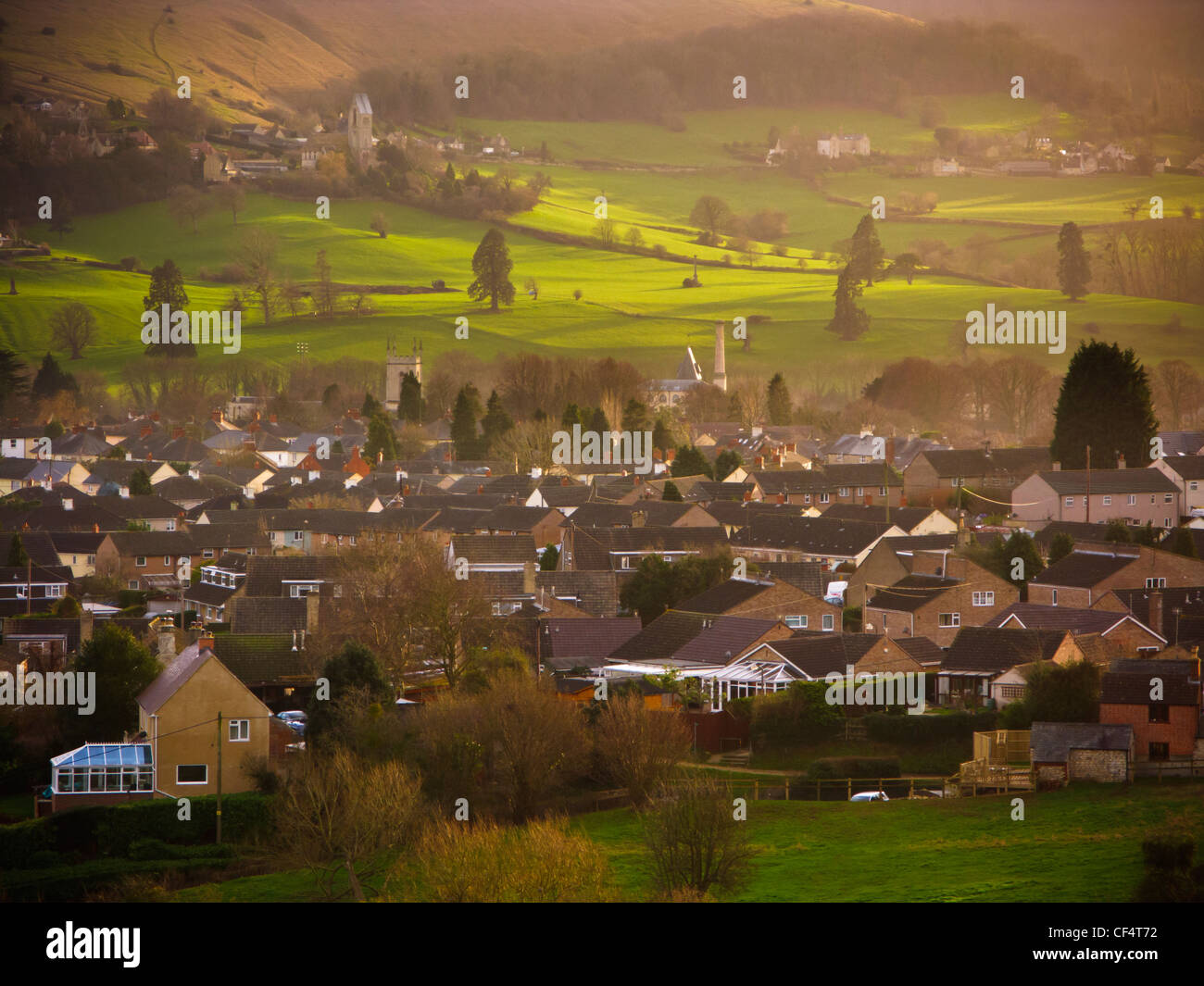 Cashes green hi-res stock photography and images - Alamy