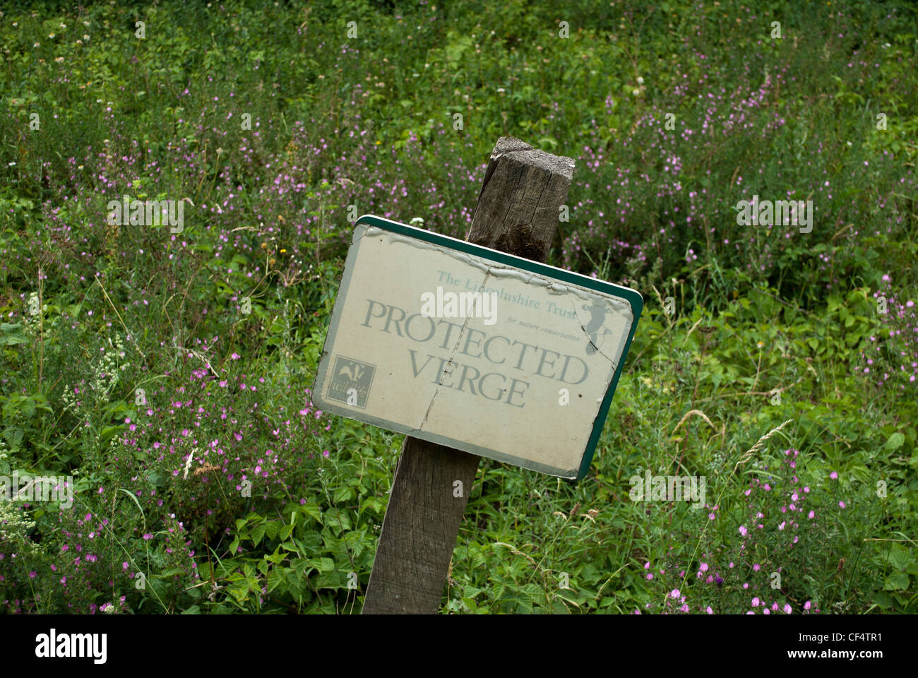 Faded Protected Verge sign in front of wild grass and other wild ...