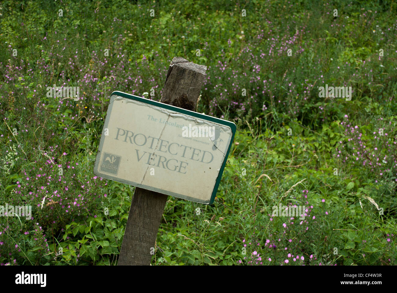 Faded Protected Verge sign in front of wild grass and other wild ...