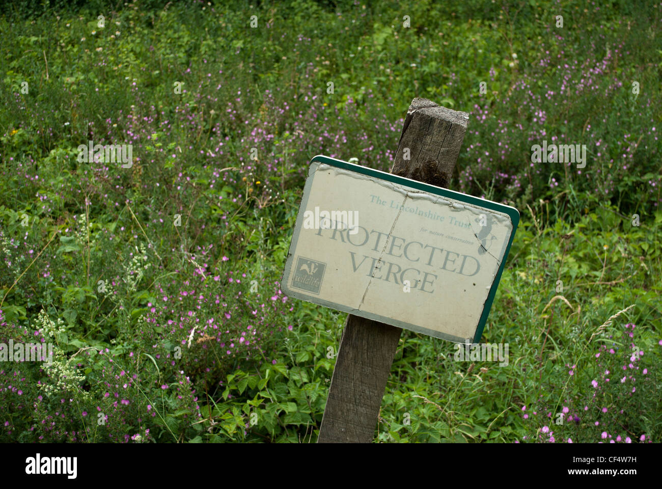 Faded Protected Verge sign in front of wild grass and other wild ...
