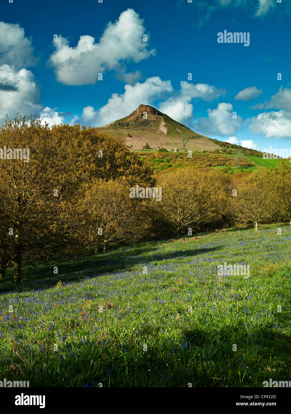 Newton wood roseberry topping hi-res stock photography and images - Alamy