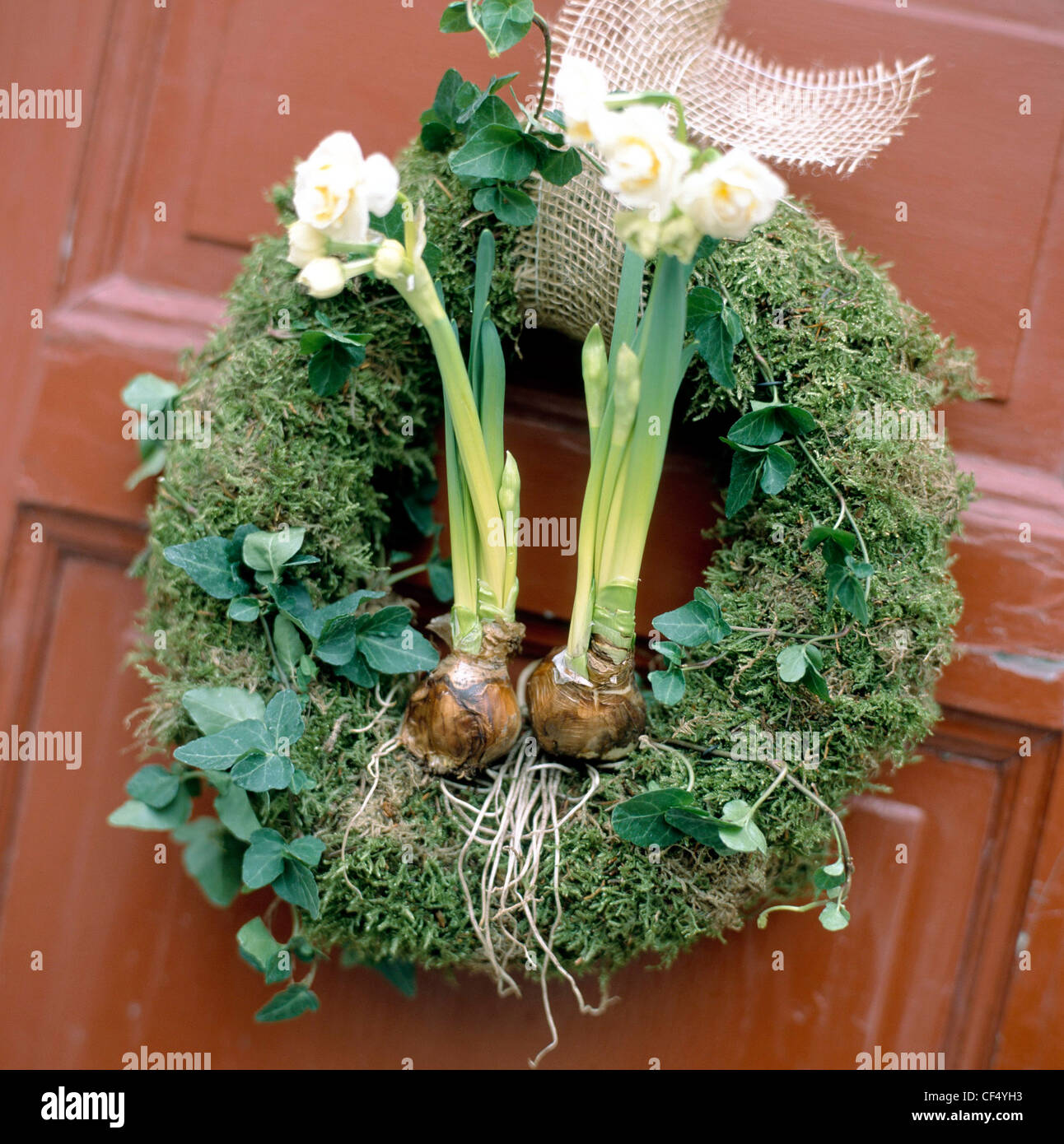 TO MAKE: DoWreath With French Daffodils Moss covered wreath with ...
