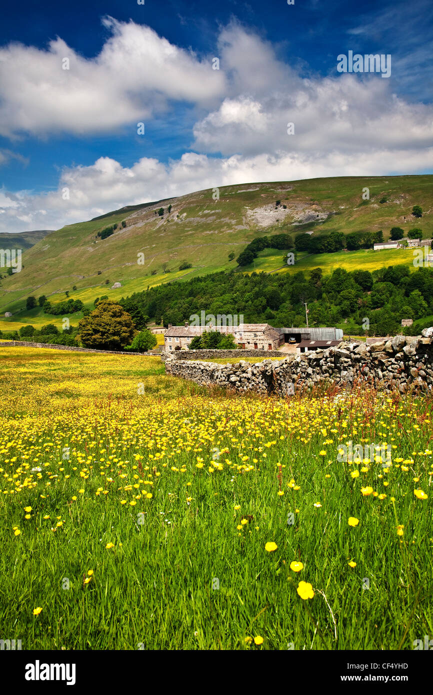 English meadow flowers hi-res stock photography and images - Alamy