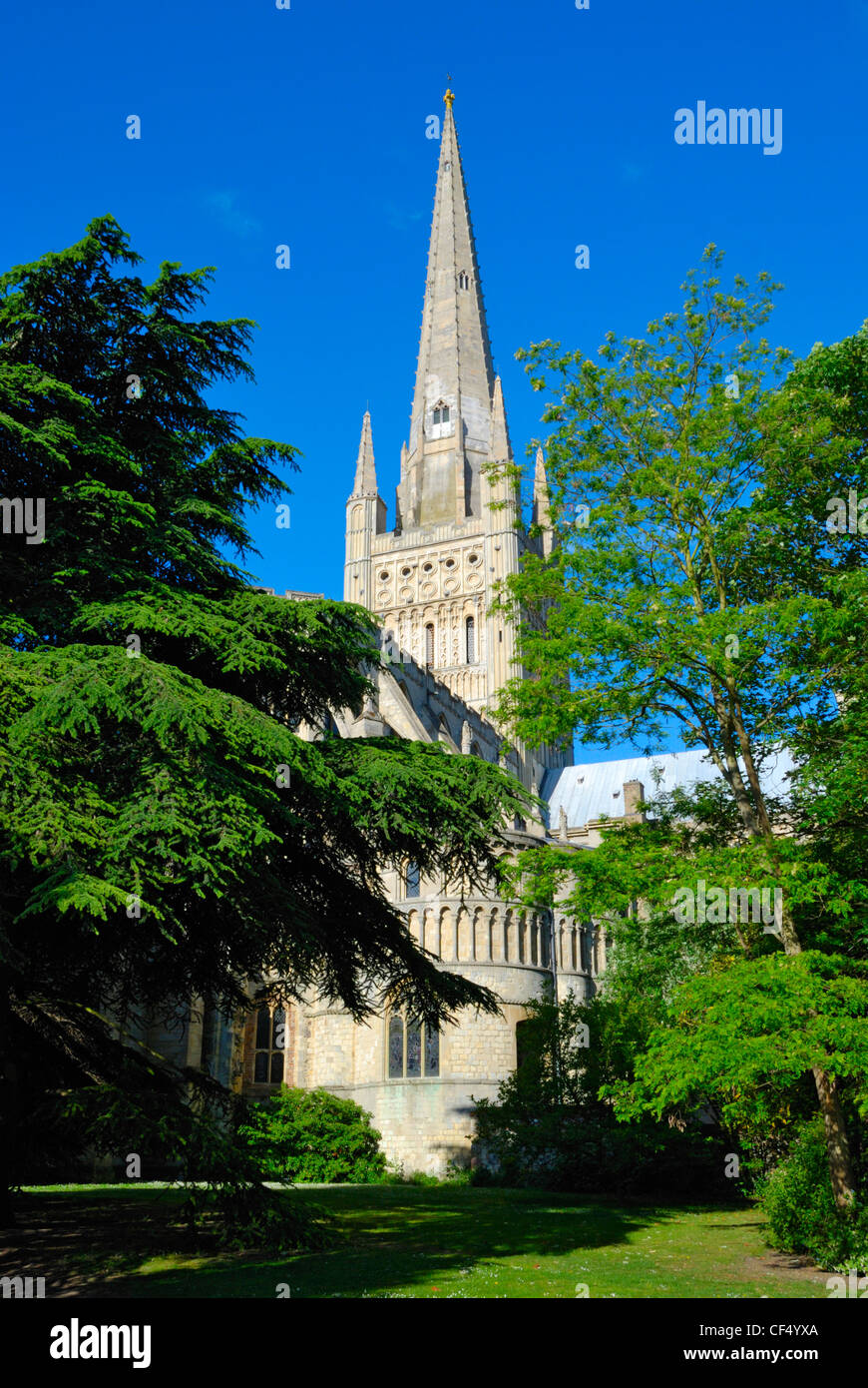 Norwich Cathedral, a Church of England Cathedral with a fine Norman ...